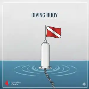 All About Special Purpose Buoys: Types and Colours